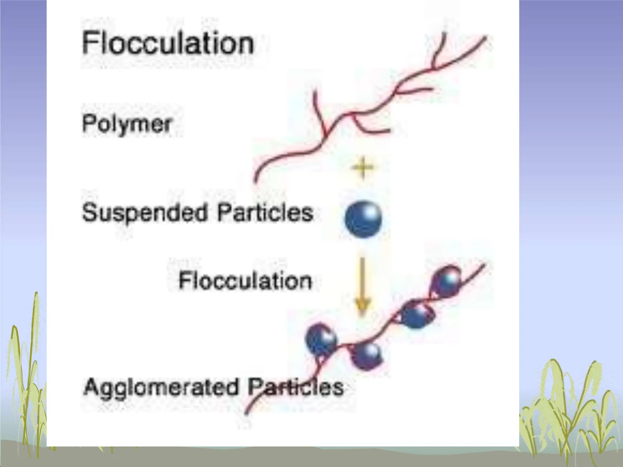 10 coagulationandflocculation water and wastewater treatment.pptx