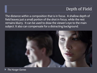 10 Compositional Theories of Cinematography | PDF