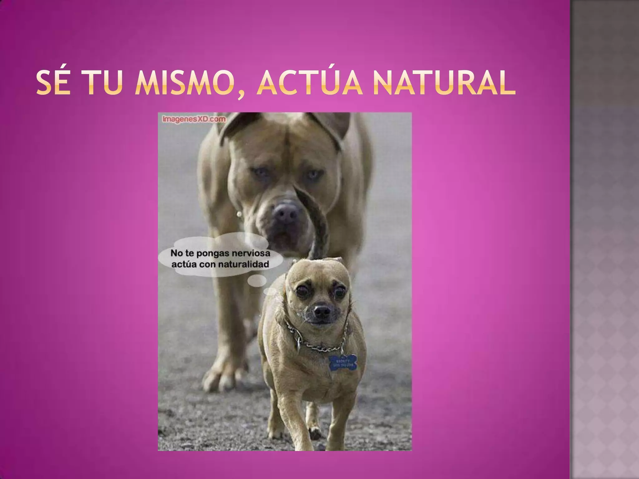 10 cosas que se deben hacer en una presentación y diez que no | PPT ...