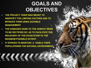 10 C project tiger.pptx