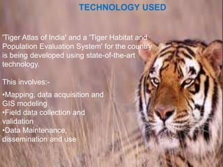 10 C project tiger.pptx