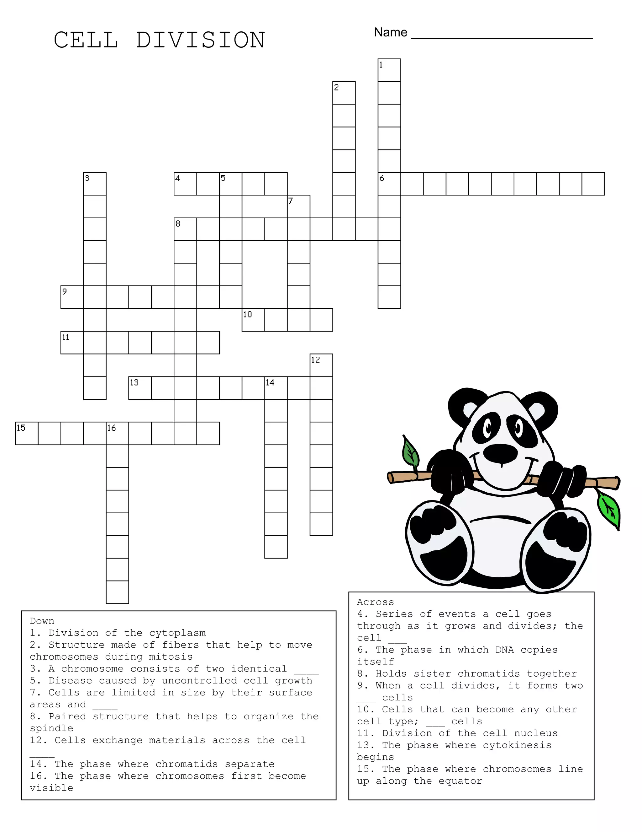 Cell Division Crossword | DOC