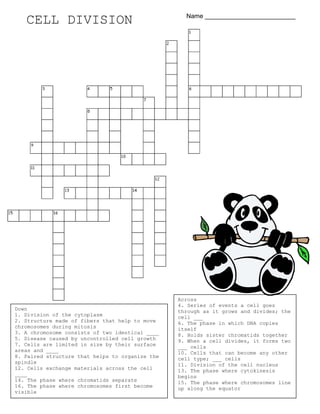 Cell Division Crossword | DOC