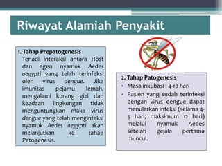 BAB 10 EPidemiologi Penyakit Menular Demam Berdarah Dengue | PPTX