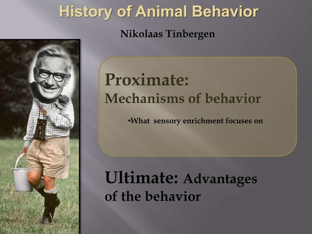 History of Animal Behavior1 | PPTX