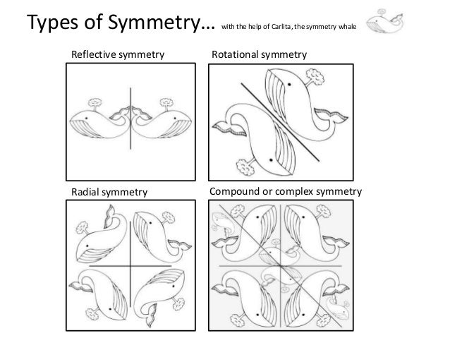 Deconstruct reconstruct shape