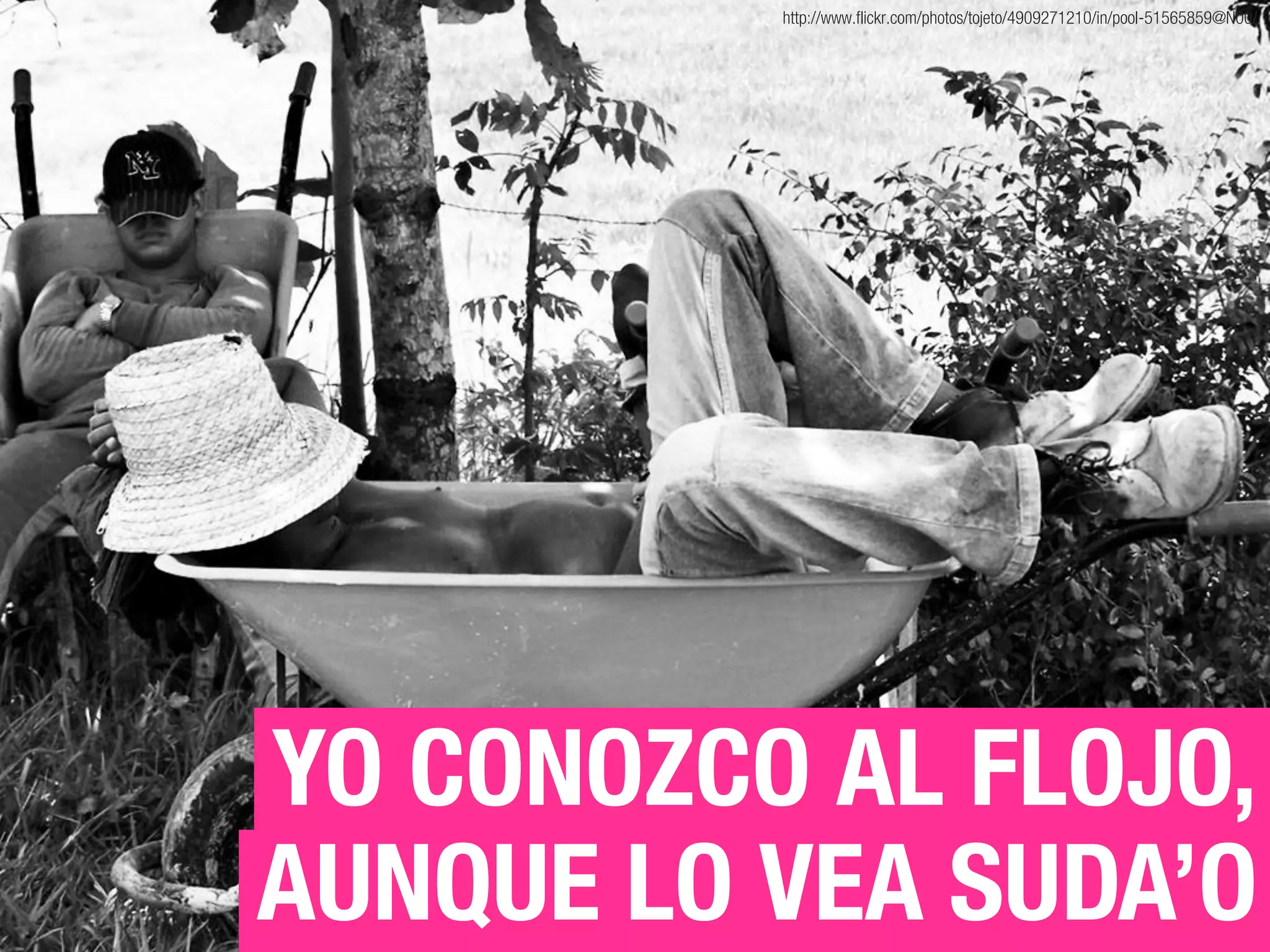 10 dichos de uso popular en el Caribe Colombiano | PDF