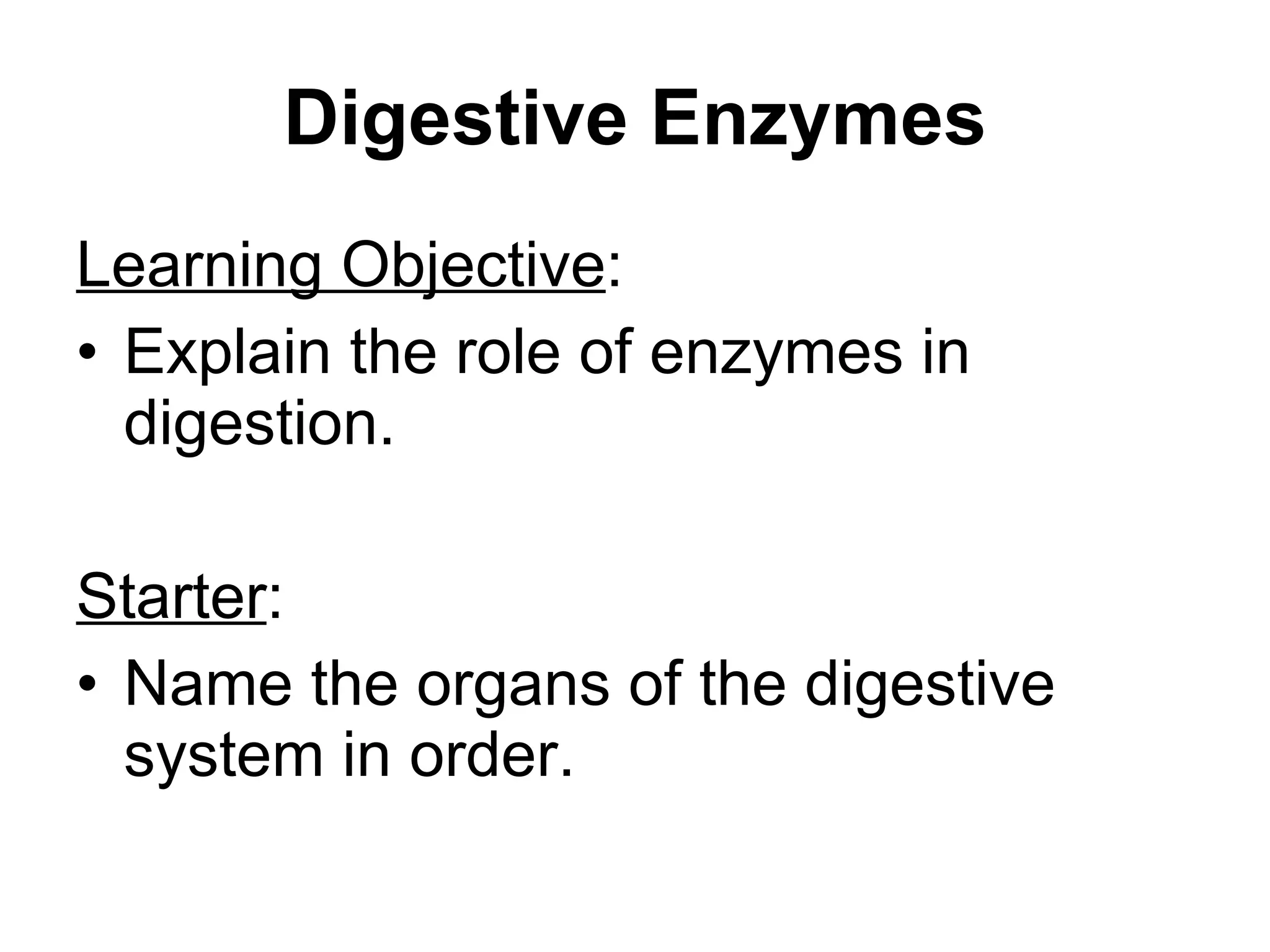 Y7 Life 10 digestive enzymes | PPT