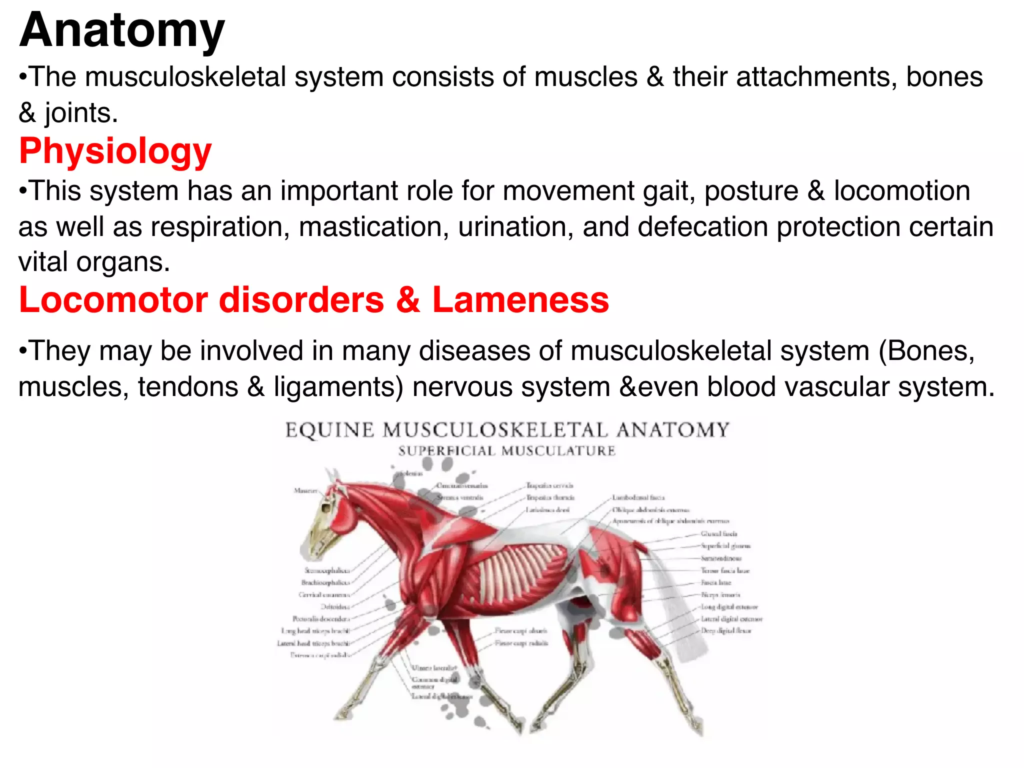 10 diseases of musculoskeletal system | PDF
