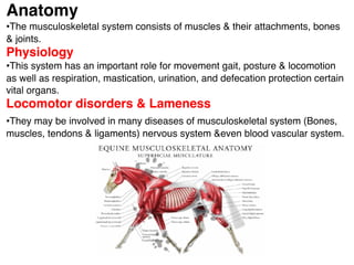 10 diseases of musculoskeletal system | PDF | Bone and Joint Conditions ...