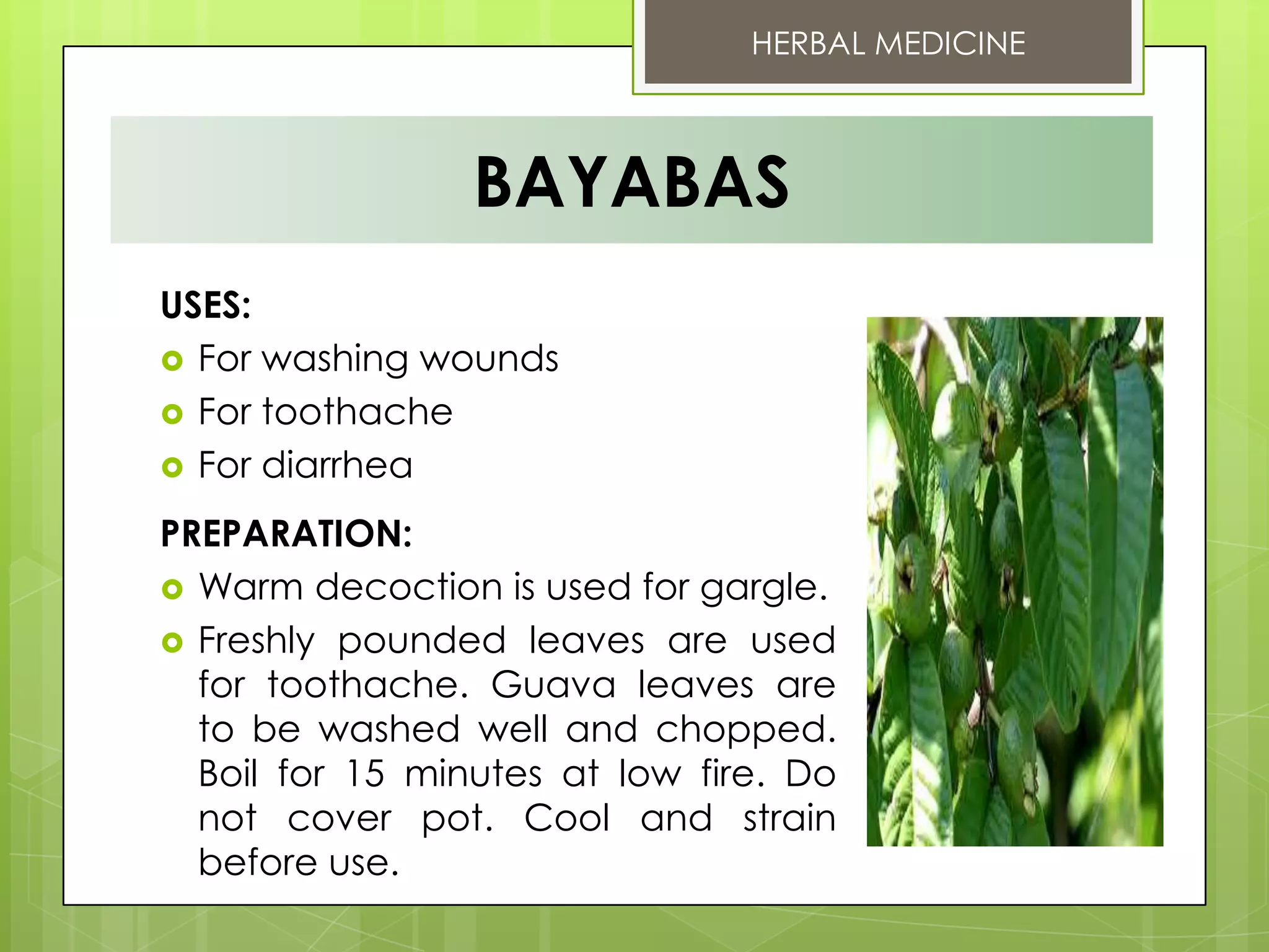 10 DOH Approved Herbal Medicine | PPTX