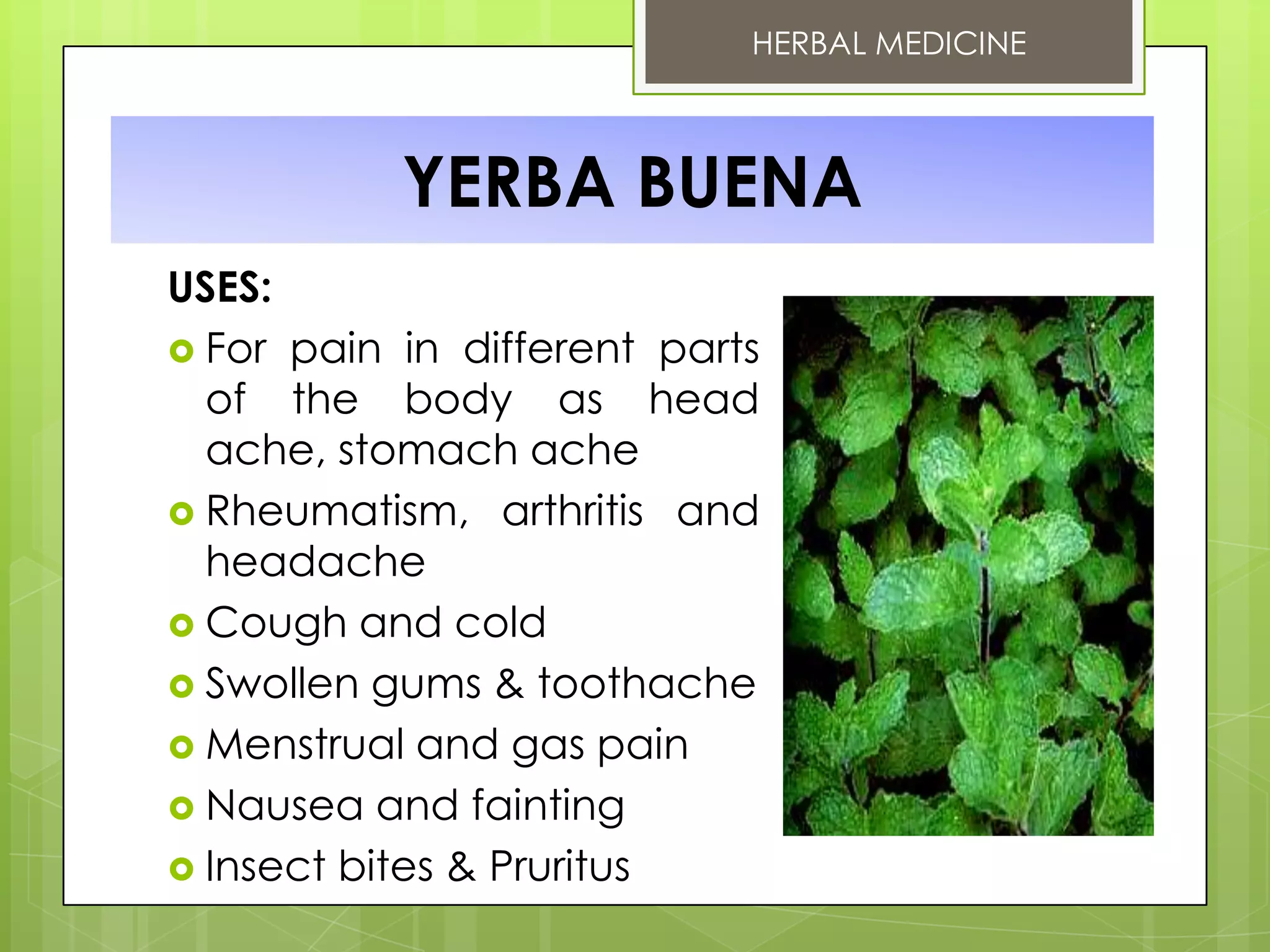 10 DOH Approved Herbal Medicine | PPTX