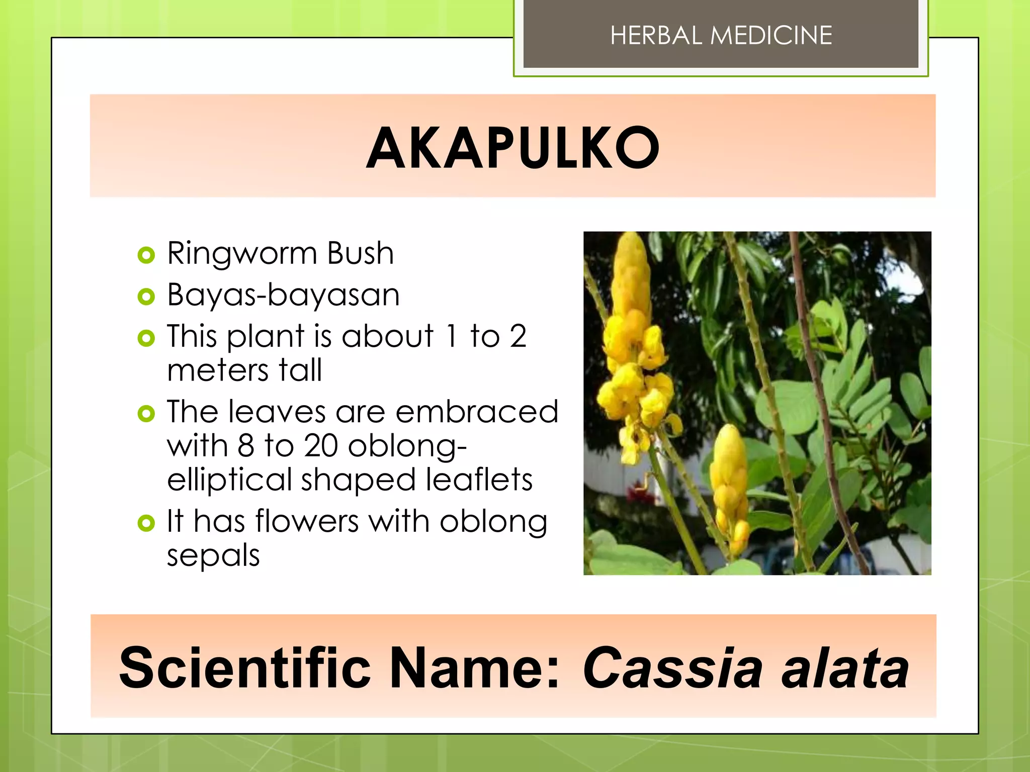 10 DOH Approved Herbal Medicine | PPTX