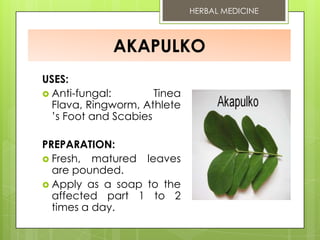 10 DOH Approved Herbal Medicine | PPTX