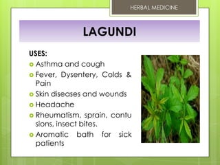 10 DOH Approved Herbal Medicine | PPTX