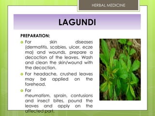 10 DOH Approved Herbal Medicine | PPTX