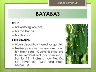 10 DOH Approved Herbal Medicine | PPTX