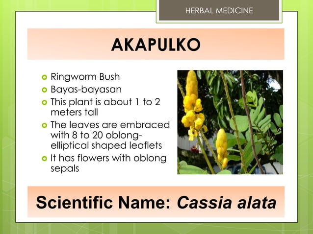 10 DOH Approved Herbal Medicine | PPTX