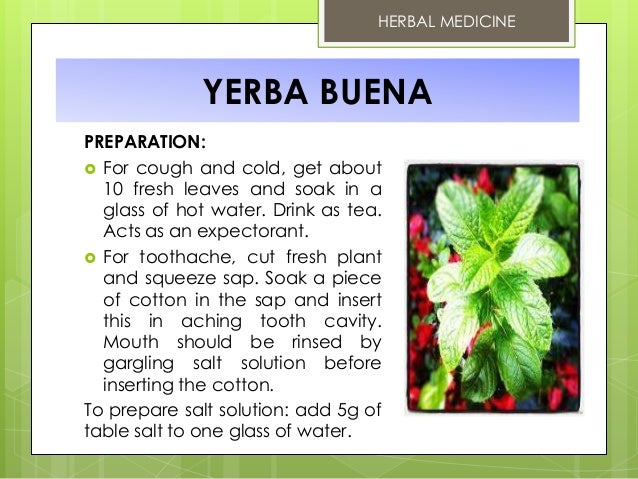 10 DOH Approved Herbal Medicine