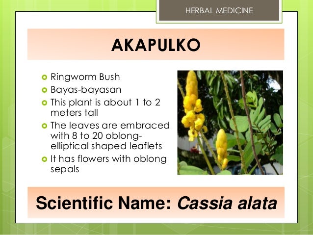 10 DOH Approved Herbal Medicine