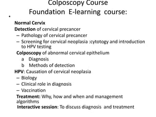 Albert Singer - E-learning and distance learning. How we supervise it | PPT