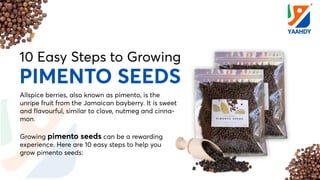 10 Easy Steps to Growing Pimento Seeds.pdf