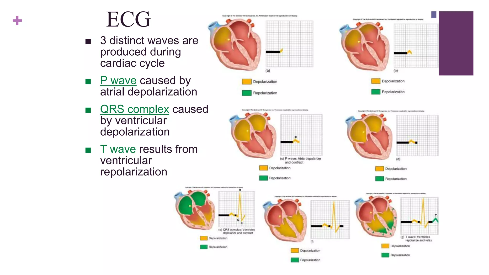 10 ECG interpret topic 10.pptx