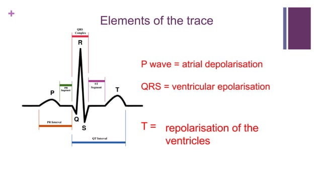 10 ECG interpret topic 10.pptx