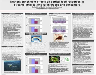 GSS poster final Stenka Vulova | PPT