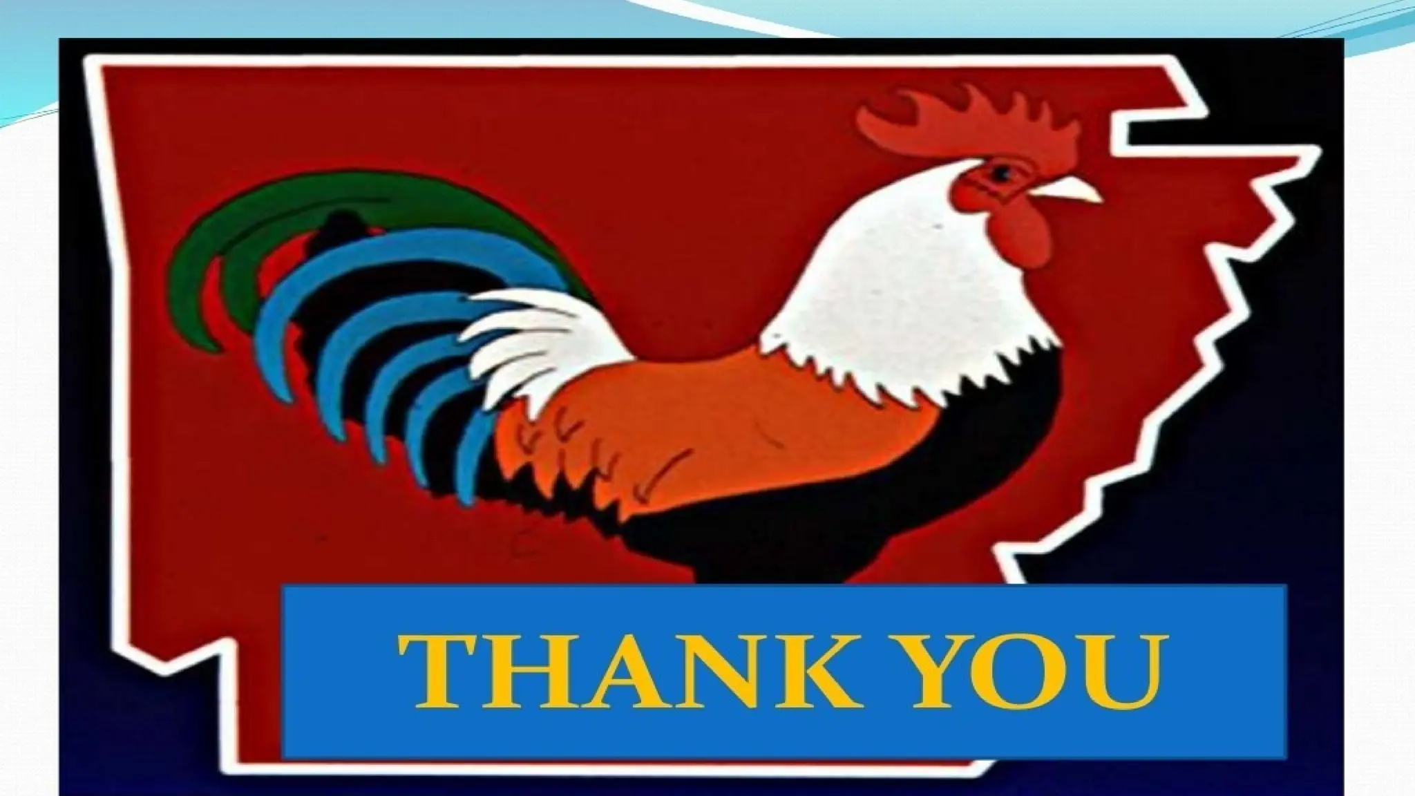 Egg Structure and Composition.pptx download | PPTX