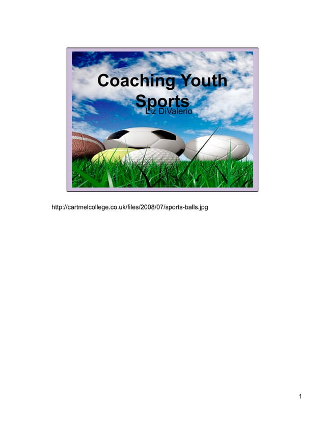 10 elizabeth l divalerio sgp final | PDF