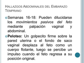 Generalidades del Embarazo normal | PPTX