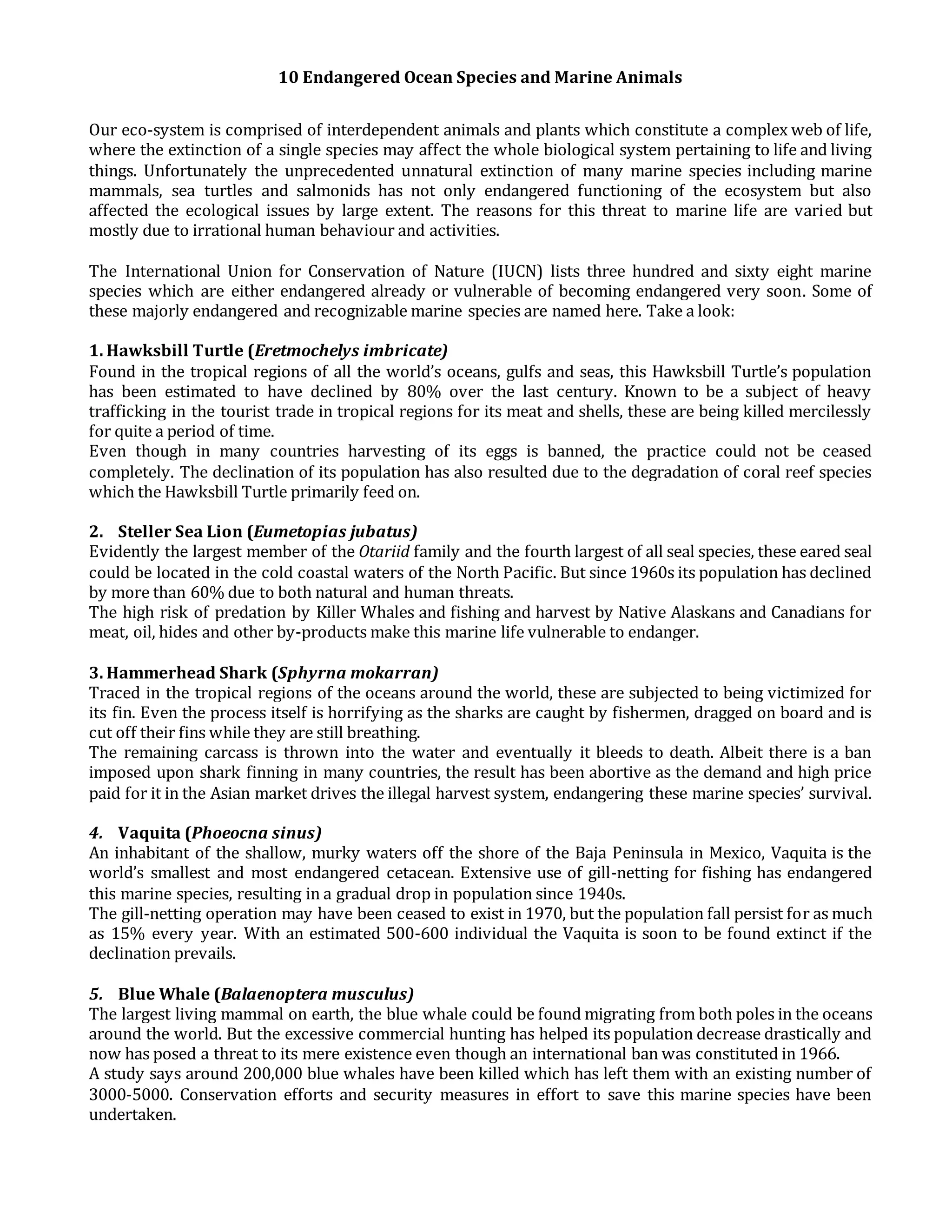 10 endangered ocean species and marine animals | DOCX