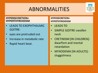 10 ENDOCRINE SYSTEM class 9 ICSE board easy and simple slide for better ...