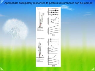 10e posture and balance | PPT