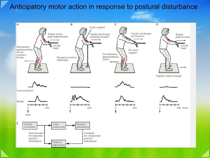 10e posture and balance