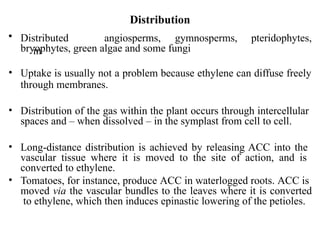 Ethylene plant growth hormones that increase growth.pptx