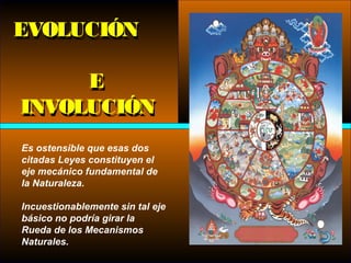 10 evolucion e involucion | PPT