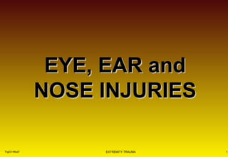 Eye injuries | PPT