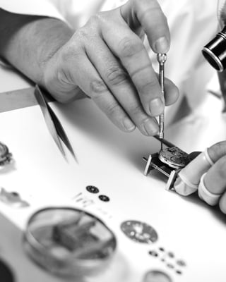 Private Label Watches | PDF