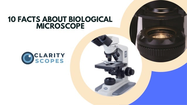 10 Facts About Biological Microscope.pdf