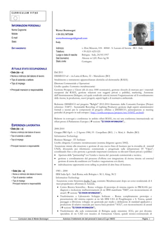 Werter Boninsegni CV 2016 | PDF