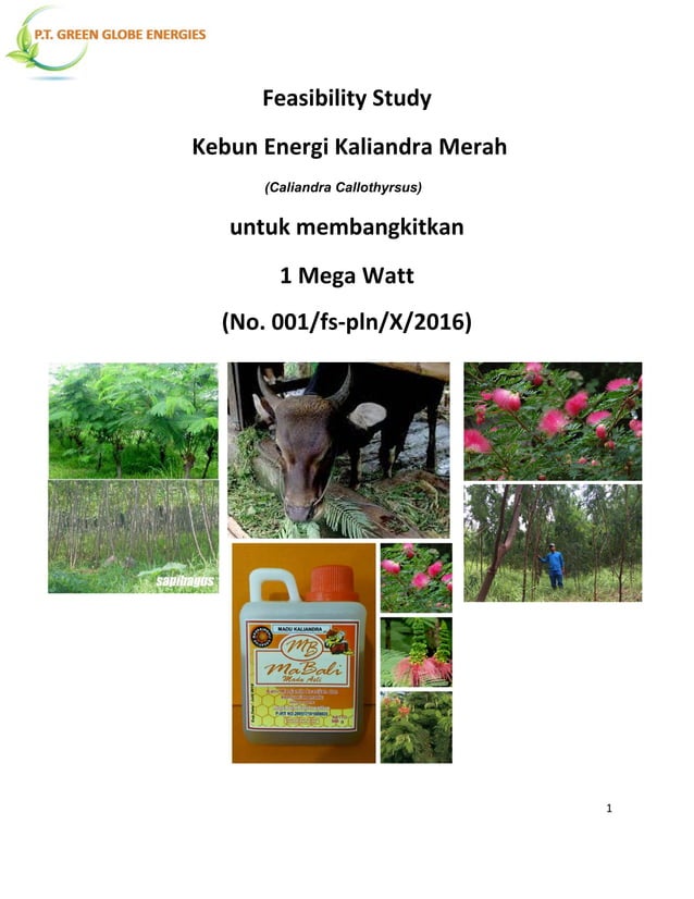 pre fs kaliandra (3) | PDF