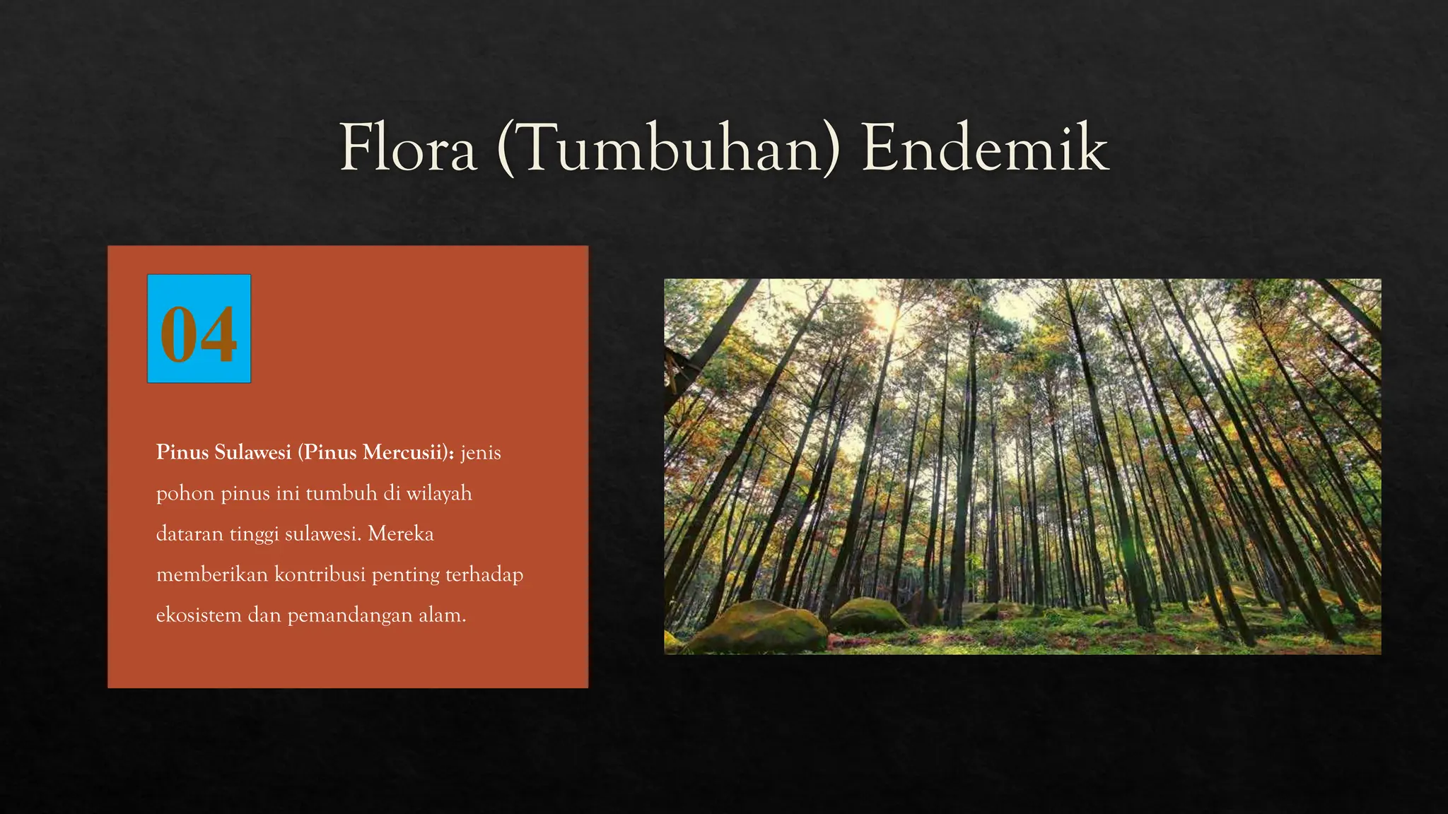 10 Flora dan Fauna Endemik yang tinggal di pulau sulawesi.pptx