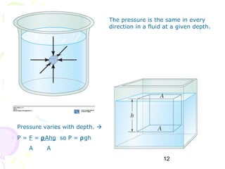 10 fluid dynamics | PPT