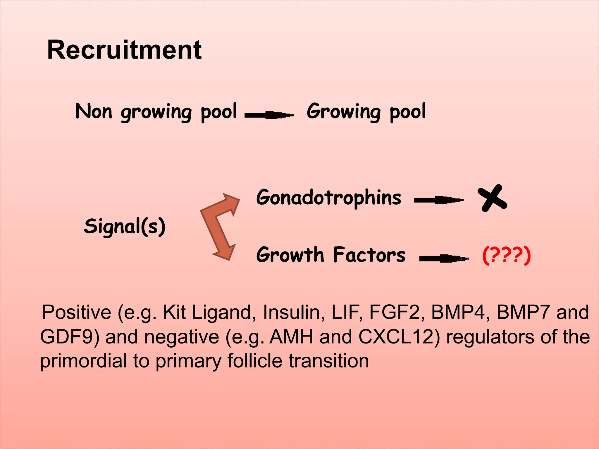 Follicular dynamics in cattleandbuffalo.ppt