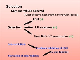Follicular dynamics in cattleandbuffalo.ppt
