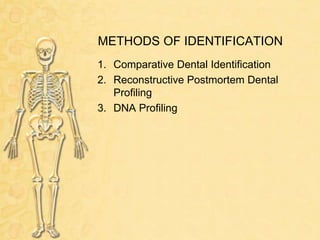 Role of Dental Radiography in Forensic Odontology | PPTX