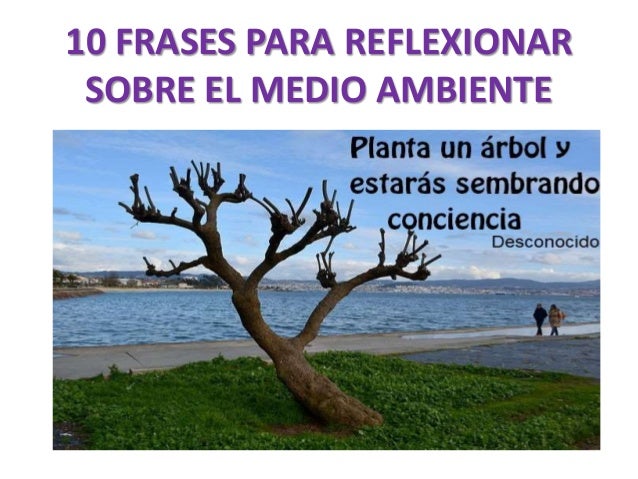 10 Frases para reflexionar sobre el medio ambiente 10 Frases para reflexionar sobre el medio ambiente