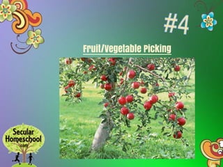 10 free fall activities for secular homeschoolers (1) | PDF